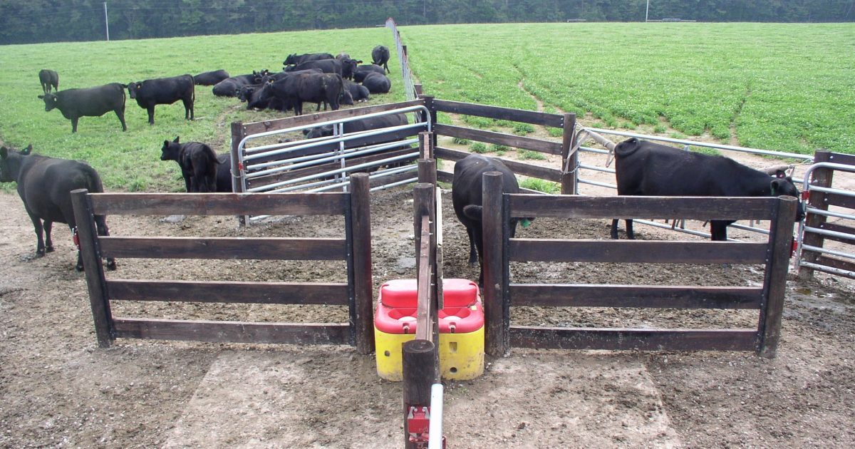 Water Points - Greg Brann Consulting